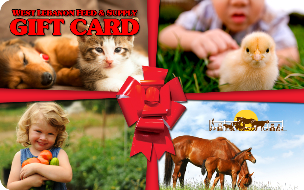 WLFS Digital Gift Card - West Lebanon, NH - West Lebanon Feed & Supply